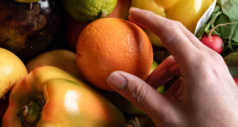 Food Finder - Urban Gleaners